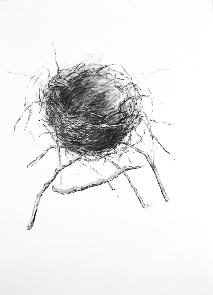 Drawings – Ursula Neubauer