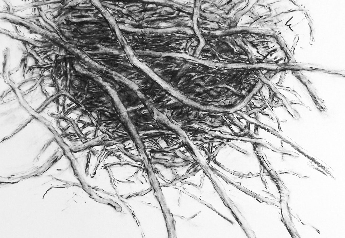 Drawings – Ursula Neubauer